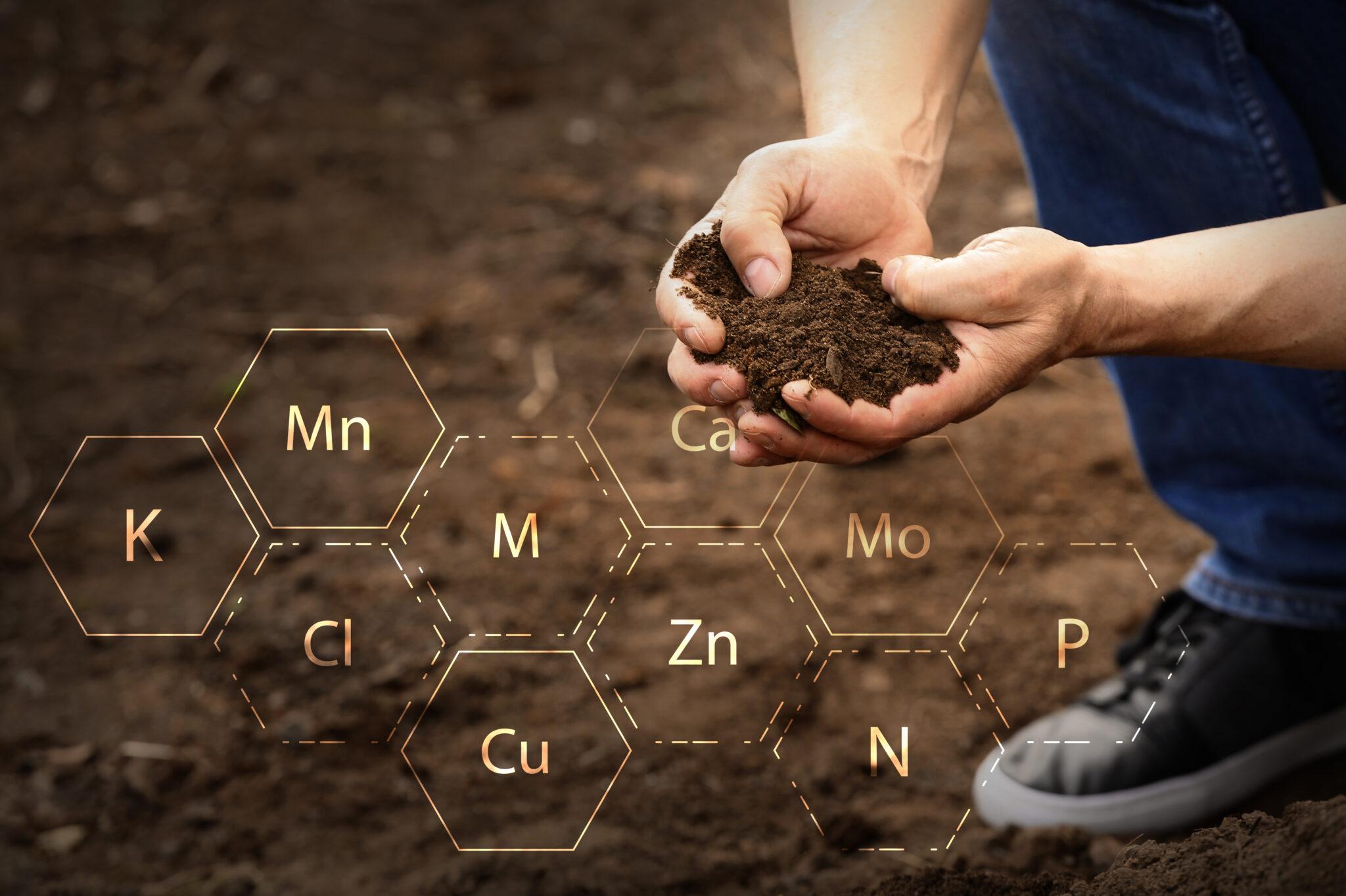 A Soil Test is the Secret to a Beautiful Lawn - DayBreak